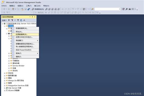 Sql Server 完全备份并还原数据库，解决被还原数据库一直处于 正在还原状态”的问题数据库正在还原 Csdn博客