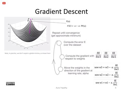 Back Propagation Primer PPT