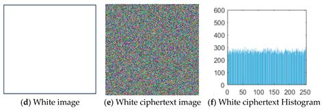 Fractal Fract Free Full Text A Color Image Encryption Algorithm Using Extended Dna Coding