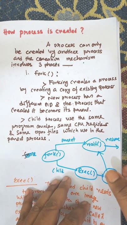 How Process Is Created In Unix Important Questions And Answers Unix And Shell Programming Part