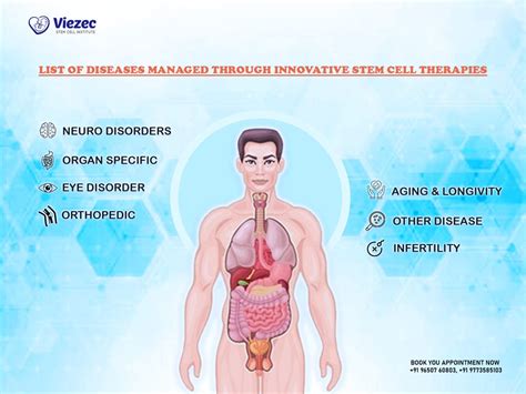 What Diseases Can Stem Cells Treat Full List And Guide 2026