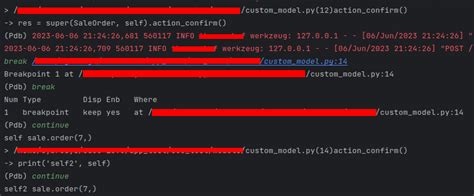 How To Use Pdb For Debugging In Odoo 16