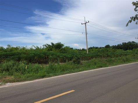 ขายที่ติดถนนลาดยาง ขนาด 61 ไร่กว่า ต หนองประดู่ อ เลาขวัญ จ กาญจนบุรี