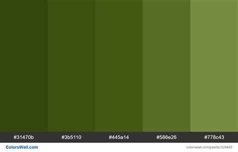 Paleta De Colores Verde Oliva Cómo Por Qué Y Cuándo Utilizar La