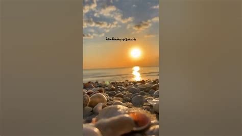 اهنگ حمید عسگری Youtube