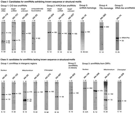Experimental Rnomics Current Biology