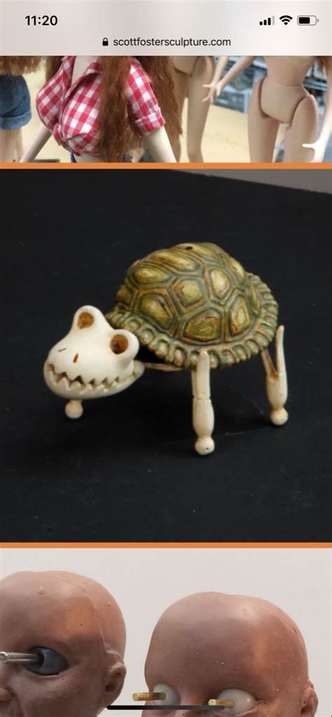 Coraline Turtle Coraline Turtle Tortoise