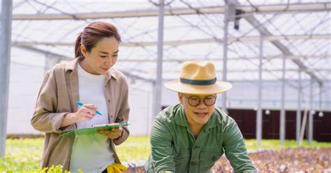 유기농 채소 수경 농장에서 일하는 아시아 부부 농부 남자와 여자 수경 샐러드 정원 주인은 온실 농장에서 야채의 품질을 확인합니다 식품 생산 중소기업 개념입니다 사진
