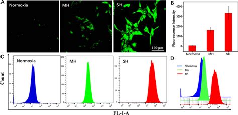 Verification Of Intracellular Oxygen Gradients On The Platform Of Download Scientific Diagram