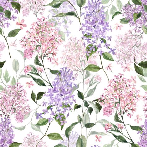Lilacs Stock Illustrations 640 Lilacs Stock Illustrations Vectors