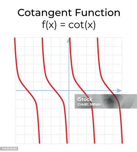 흰색 배경에 격리된 수학 함수의 벡터 그림 좌표계의 코탄젠트 함수 그래프입니다 0명에 대한 스톡 벡터 아트 및 기타 이미지 0명 개념 검사 보기 Istock