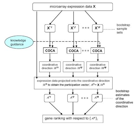 A Flowchart Of The Proposed Approach Namely Knowledge Guided Download Scientific Diagram