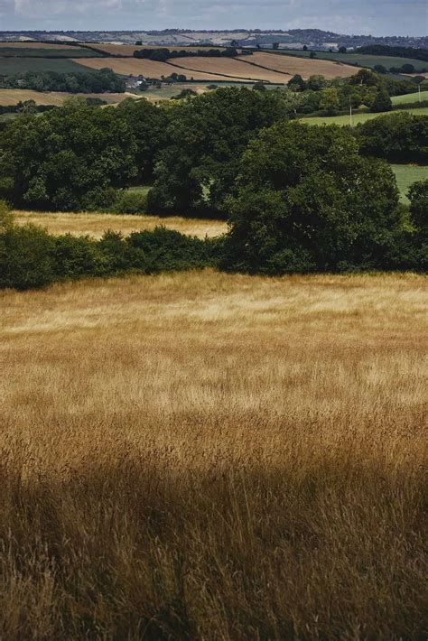 Bng Opportunities For Landowners Biofarm — Biofarm