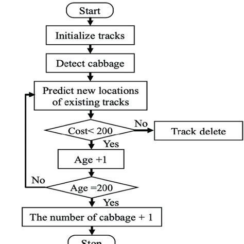 Flow Chart Of The Chinese Cabbage Counting Algorithm Download