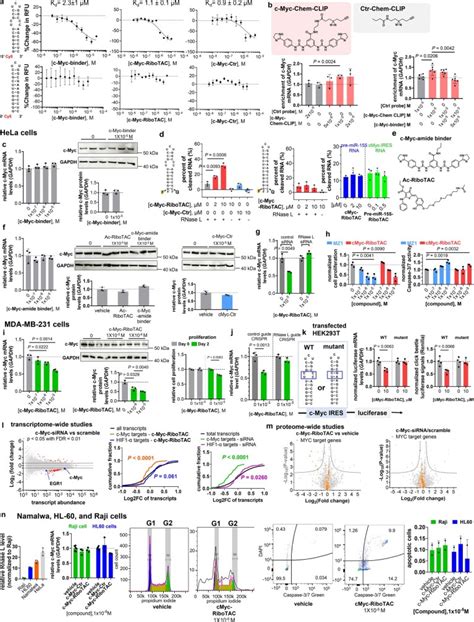 Programming Inactive Rna Binding Small Molecules Into Bioactive