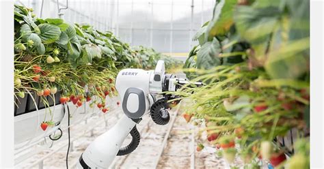 Germany Joint Scaling Of Harvesting Robots