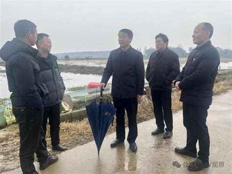 向科军调研全区春耕备耕工作 岳阳市屈原管理区