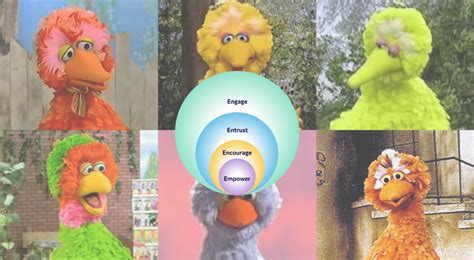 What Colour Is Your Big Bird Tickit Health