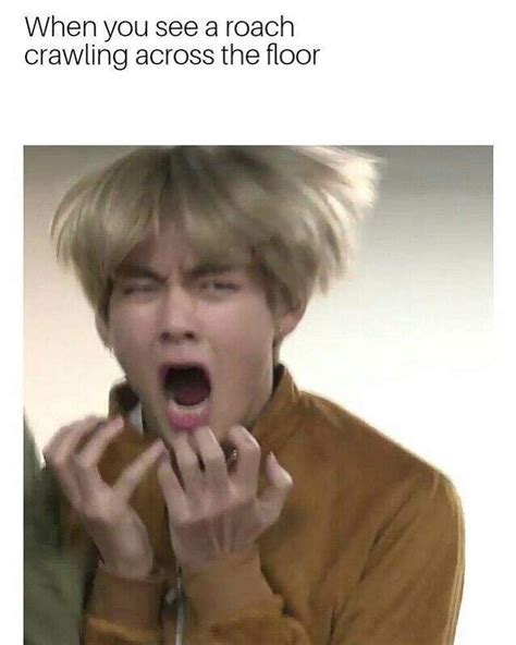Memes Army Memes Amino Memes Army Memes Amino