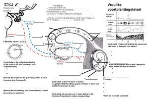 Lesson Plan Gr 9 Life Orientation Term 1 Weeks 5 6 Focus On Sexual Health Studocu