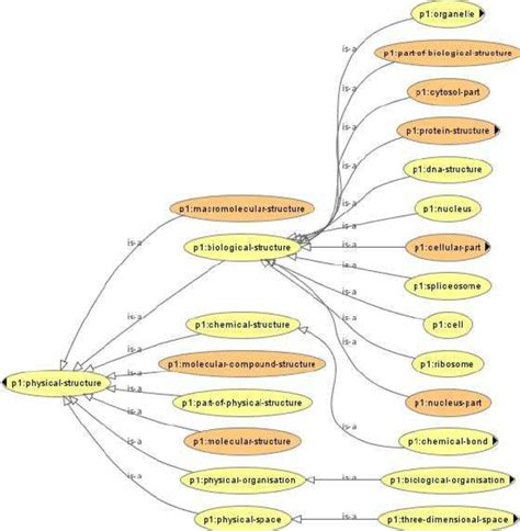 A Fragment Of The Adopted Taxonomy Download Scientific Diagram
