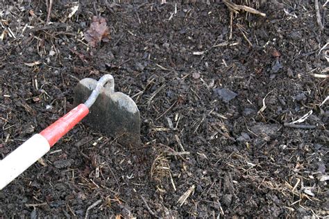 Elemental Soil The Tutorial