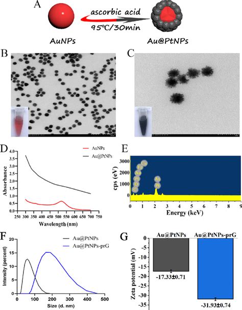 Characterization Of Auptnps And Auptnps Prg A Synthesis Procedure