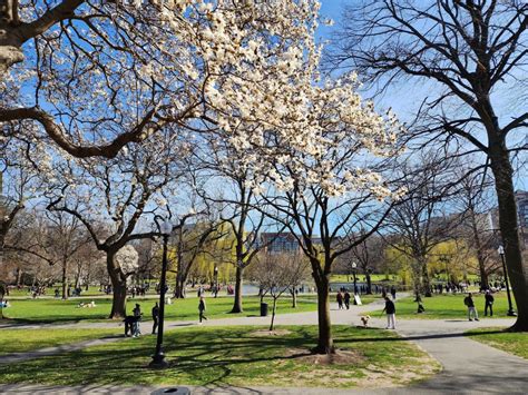 Christian Simonelli On Linkedin Boston Groundwater Trust Bgwt April