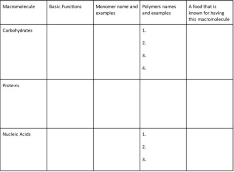 Biology Unit 3 Flashcards Quizlet