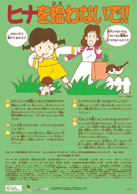 テキスト ボックス 傷ついた野鳥のヒナをみつけた時にこのヒナはどうしたらよいのかと言った判断からヒナの見分け方保温の仕方エサの与え