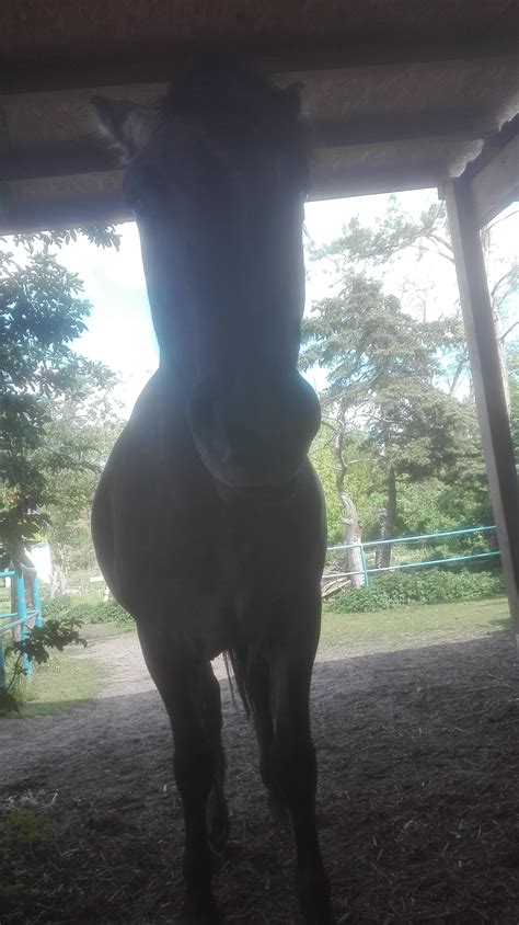 We Sometimes Call Her My Shadow Because She Follows Me Around
