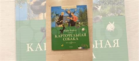 Д17 Состояние отличное купить в Иркутске с доставкой Авито