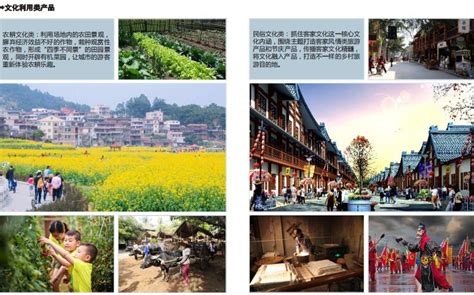 湖南株洲市茶陵县卧龙村旅游总体规划 优80设计空间