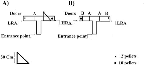 Figure 1 From Orexin 1 Receptors In The Anterior Cingulate And