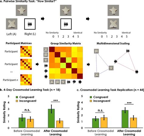 Figures And Data In Experience Transforms Crossmodal Object