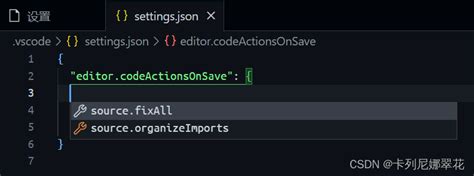 vscode 文件夹是什么，里面有什么？ csdn博客