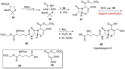 Steglich Esterification A Versatile Synthetic Approach Toward The Synthesis Of Natural Products