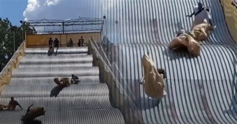 하늘 날다 쿵쿵쿵 미국 대형 미끄럼틀 운영 중단 이유는