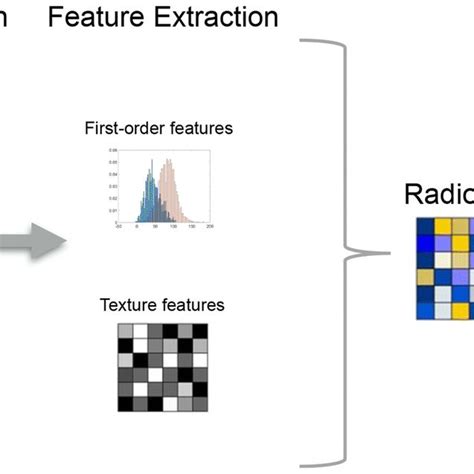 Ct Imaging Was Analyzed And Texture Features Extracted The Texture