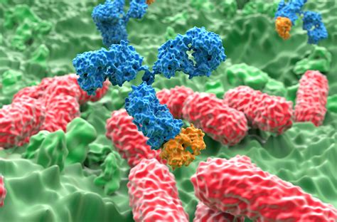 Scaling New Heights In Continuous Biologics Manufacturing With The