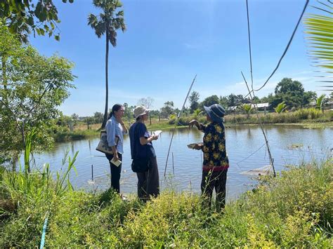 From Concept To Pilot Gender Monitoring Schema