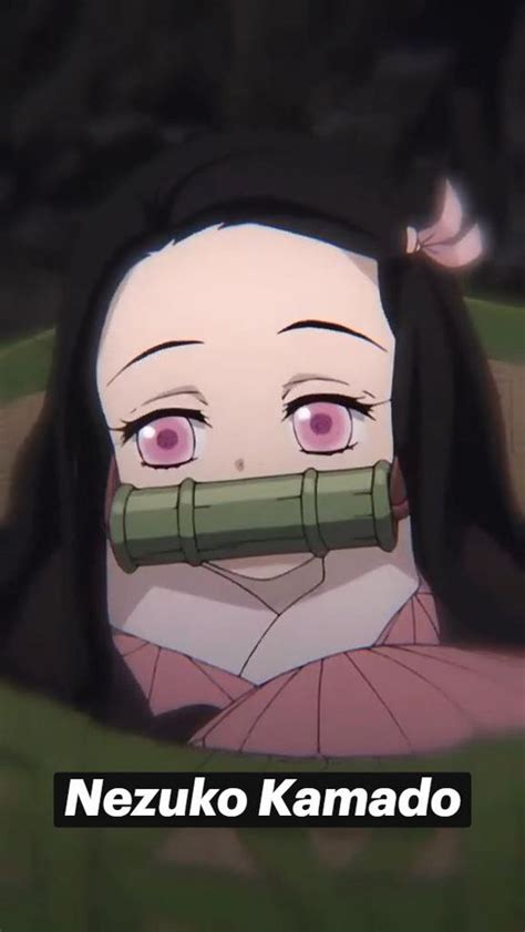 Nagatoro Cartoons Sensuais Bichinhos Bonitinhos Animes Wallpapers