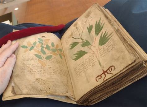 Dimitar Ръкописът на Войнич тайнствена книга написана на