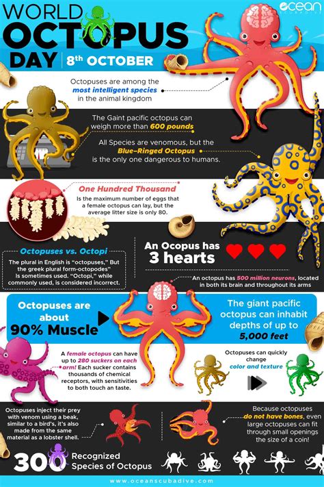10 Different Types Of Octopus Artofit