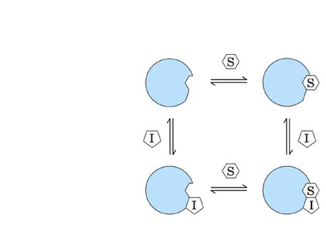 Schematic Representation Of Mixed Type Inhibition Download