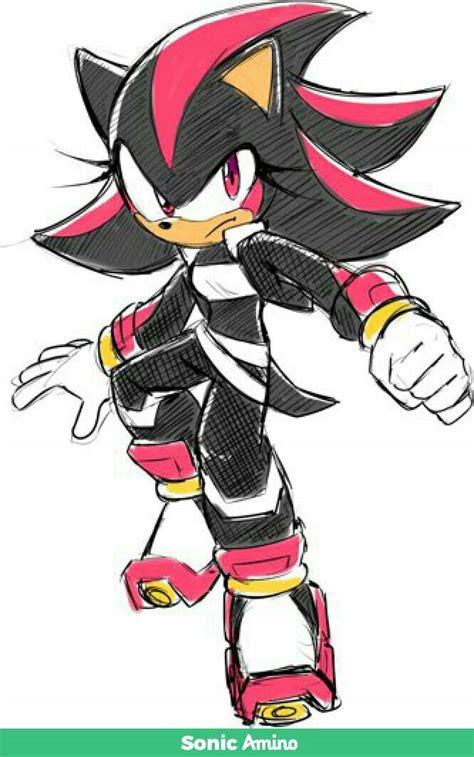 Sonic Oc Surprise Winner Shadow The Hedgehog Female Sonic The Hedgehog Amino