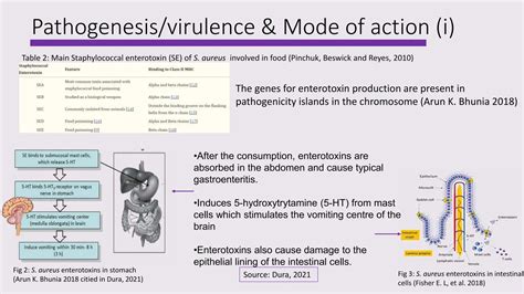 Staphylococcus Aureas 1 Pptx