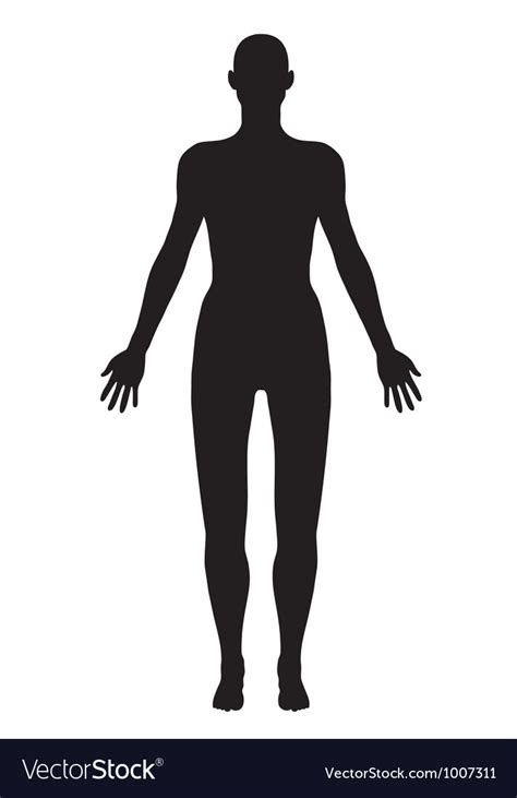 Body Royalty Free Vector Image Vectorstock
