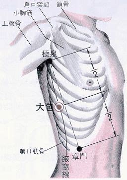 醫砭 經穴庫 大包
