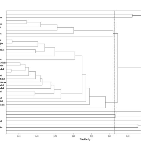 upgma dendrogram of the clustering of isolates according to the values